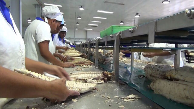 Business – FBC News