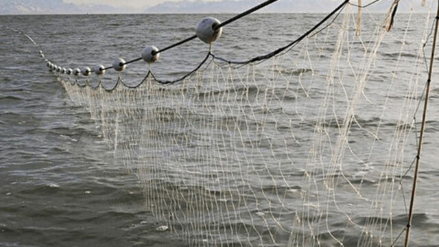 FBC News – Latest Fiji News, Sports, and Weather. Keeping Fijians ...