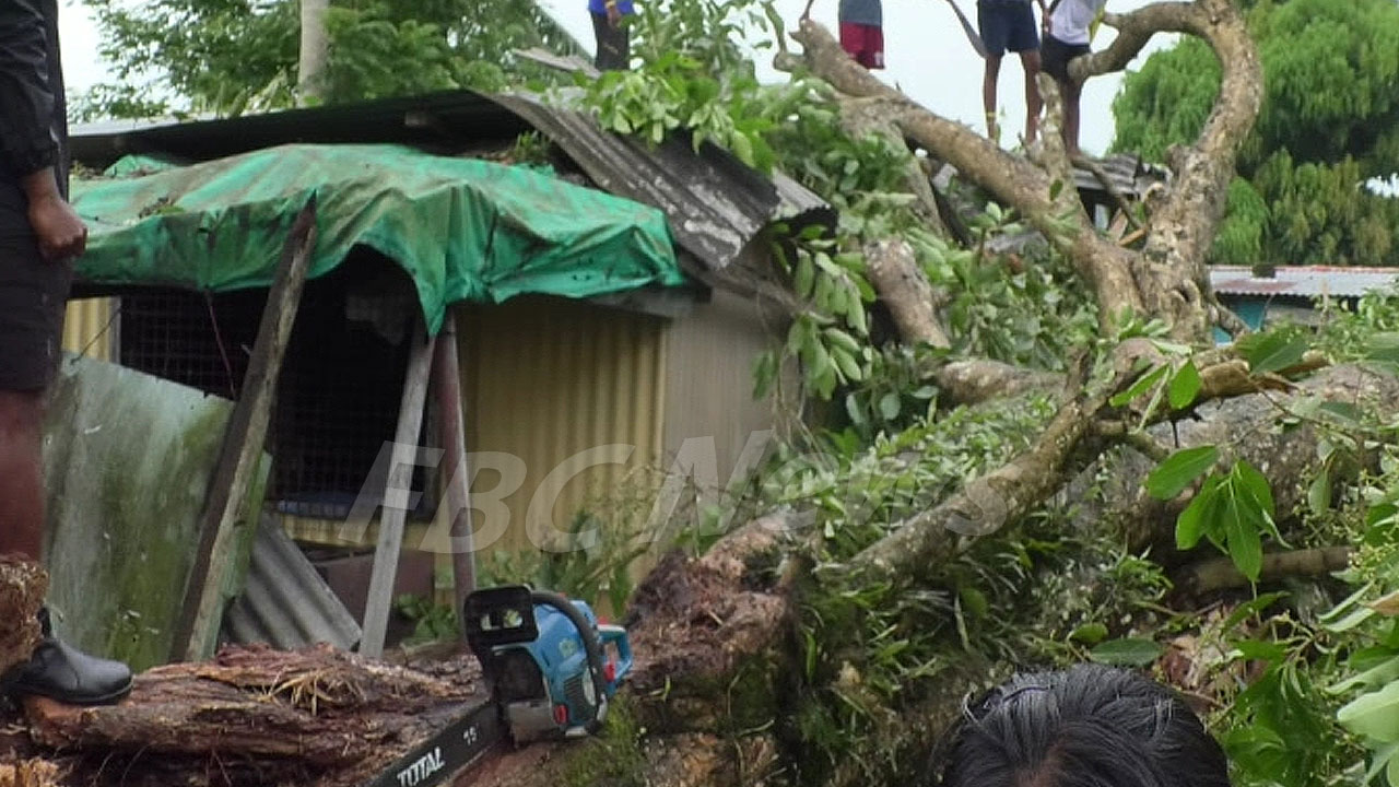 Family escape injury from fallen tree – FBC News