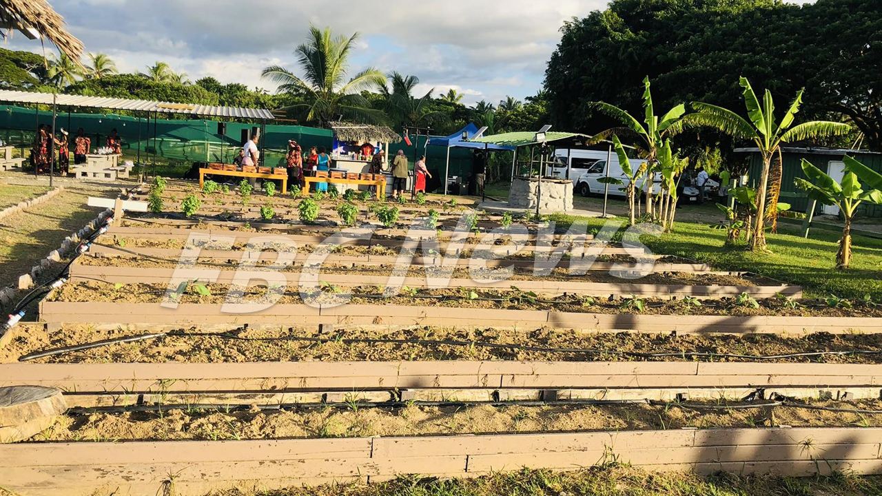 Sheraton farm to yield 5,000 kg of fruit and veggies – FBC News