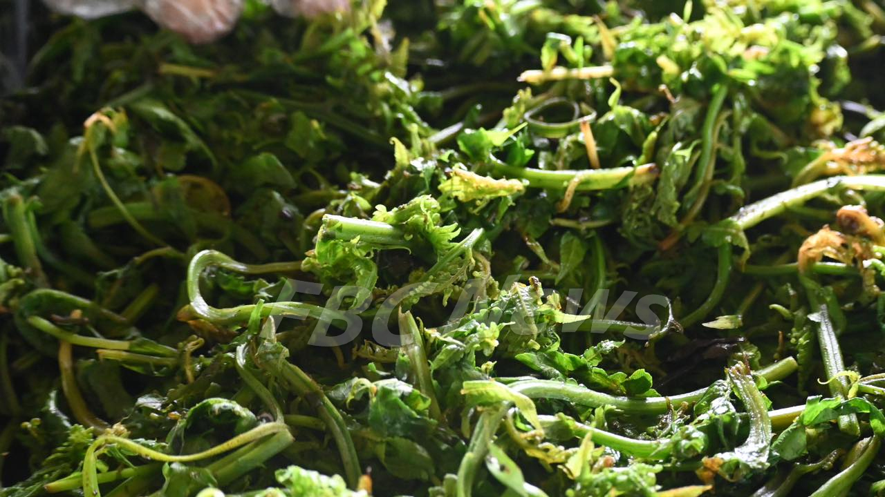 Tailevu’s traditional cuisine takes center stage at GCC – FBC News