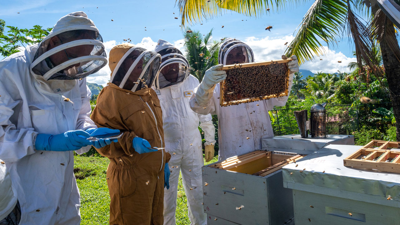 Beekeepers equipped with industry skills – FBC News