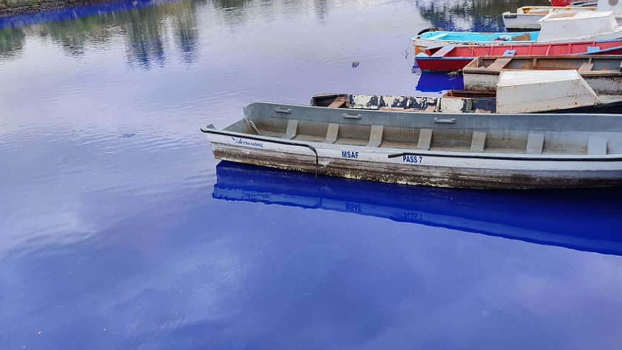 Environment Ministry to investigate mystery blue water – FBC News