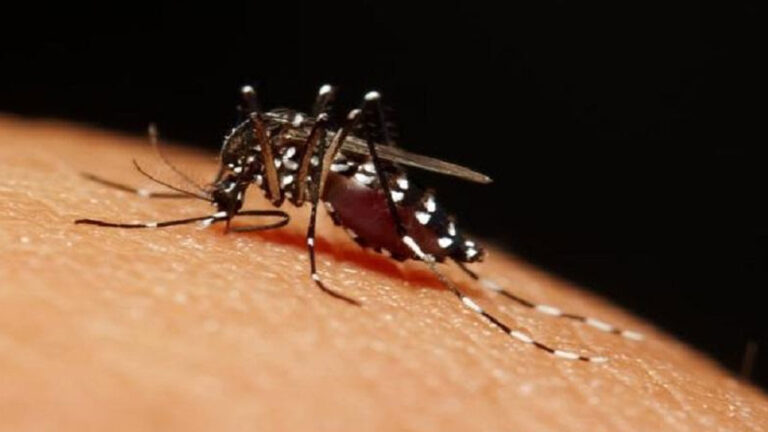 Surge in flu and dengue cases – FBC News