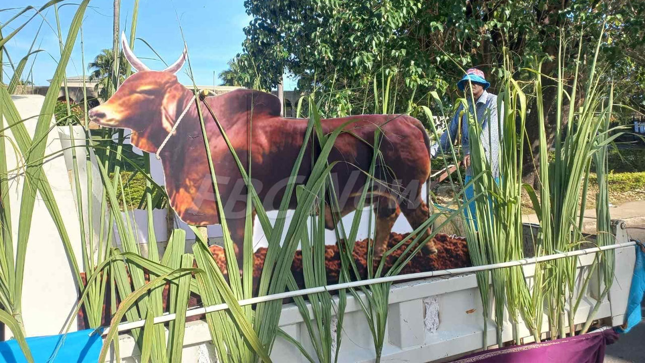 Direct descendants honored at Girmit Day – FBC News