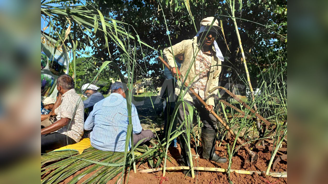 President honors Girmityas’ legacy on Girmit Day – FBC News