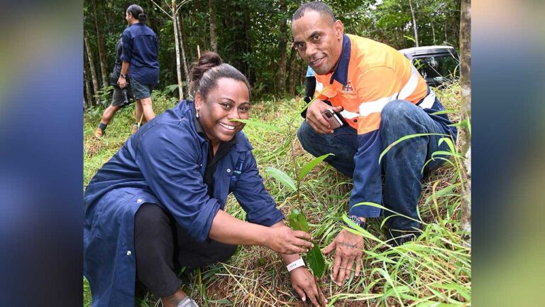 Tree Planting Initiative to assist in biodiversity preservation – FBC News