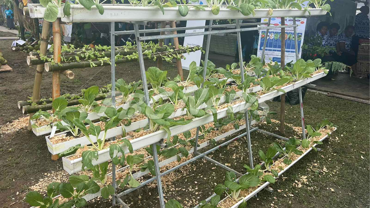 Knowledge gap to hinder sustainable farming – FBC News