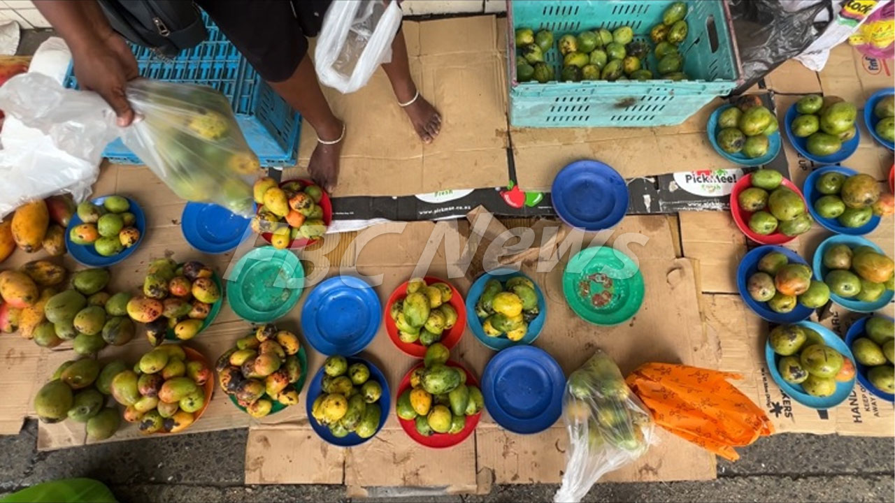 Ba family seizes opportunity, earns big from mango sales – FBC News