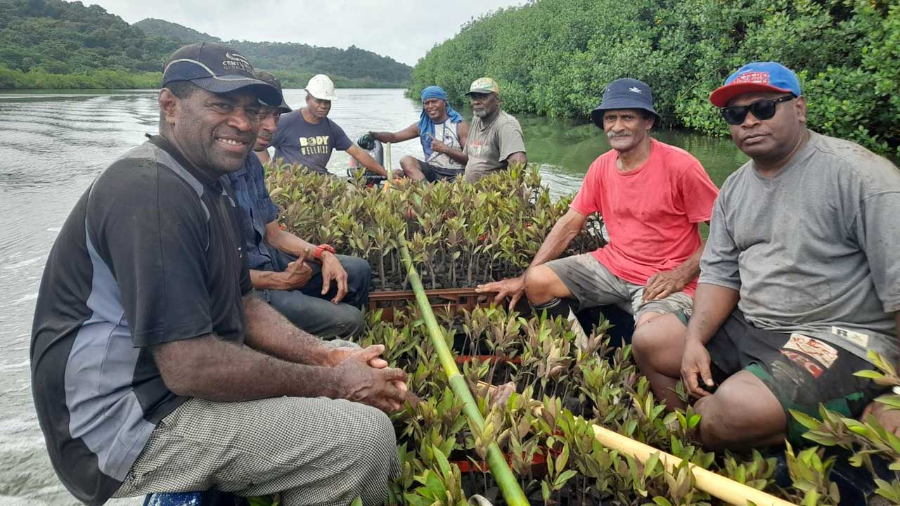 6,000 mangrove seedlings planted – FBC News