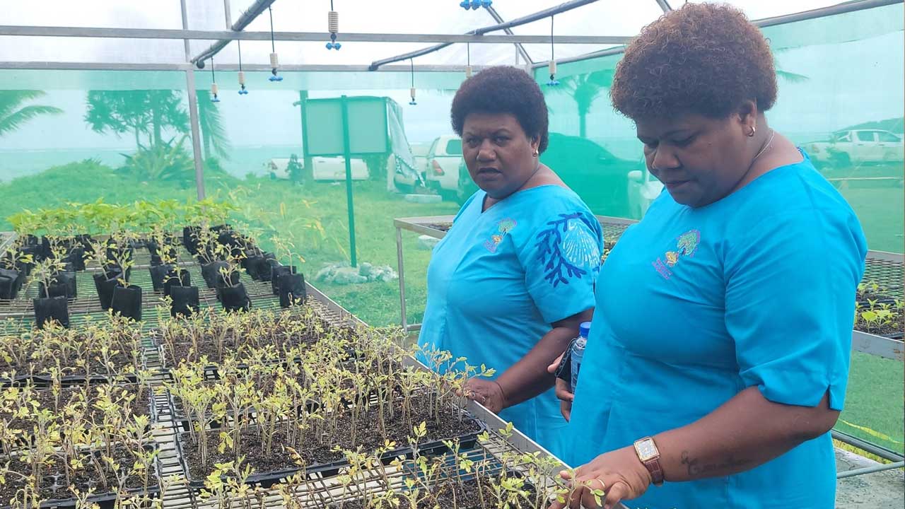 Women’s cooperative thrives – FBC News