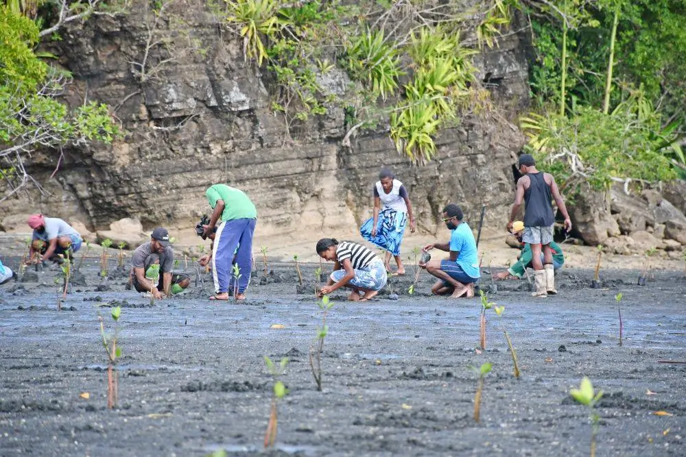 Usfijitimes | Fiji eyes carbon market