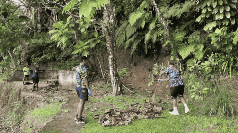 Lami communities unite to fight dengue – FBC News