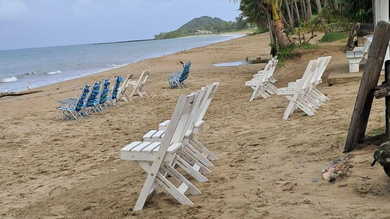 Yatu Lau business arm reports revenue growth – FBC News