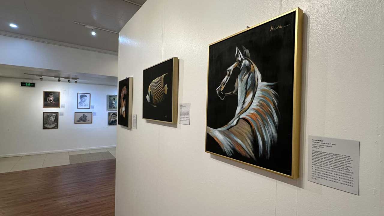 Zhen’s Fiji-inspired art – FBC News