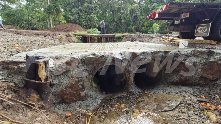 New Irish crossing to boost cane harvest – FBC News