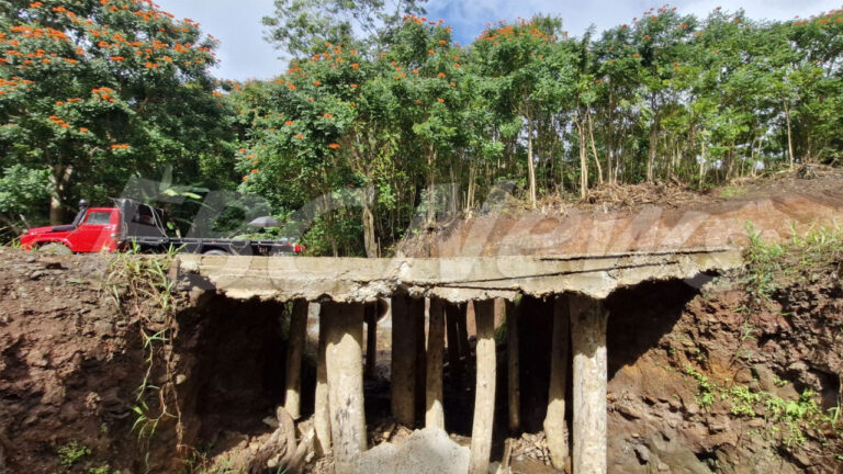 New Irish crossing to boost cane harvest – FBC News