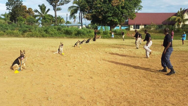 Salele leads dog patrols to boost community safety – FBC News