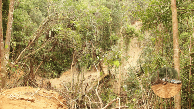 FRCS expands VAT monitoring – FBC News