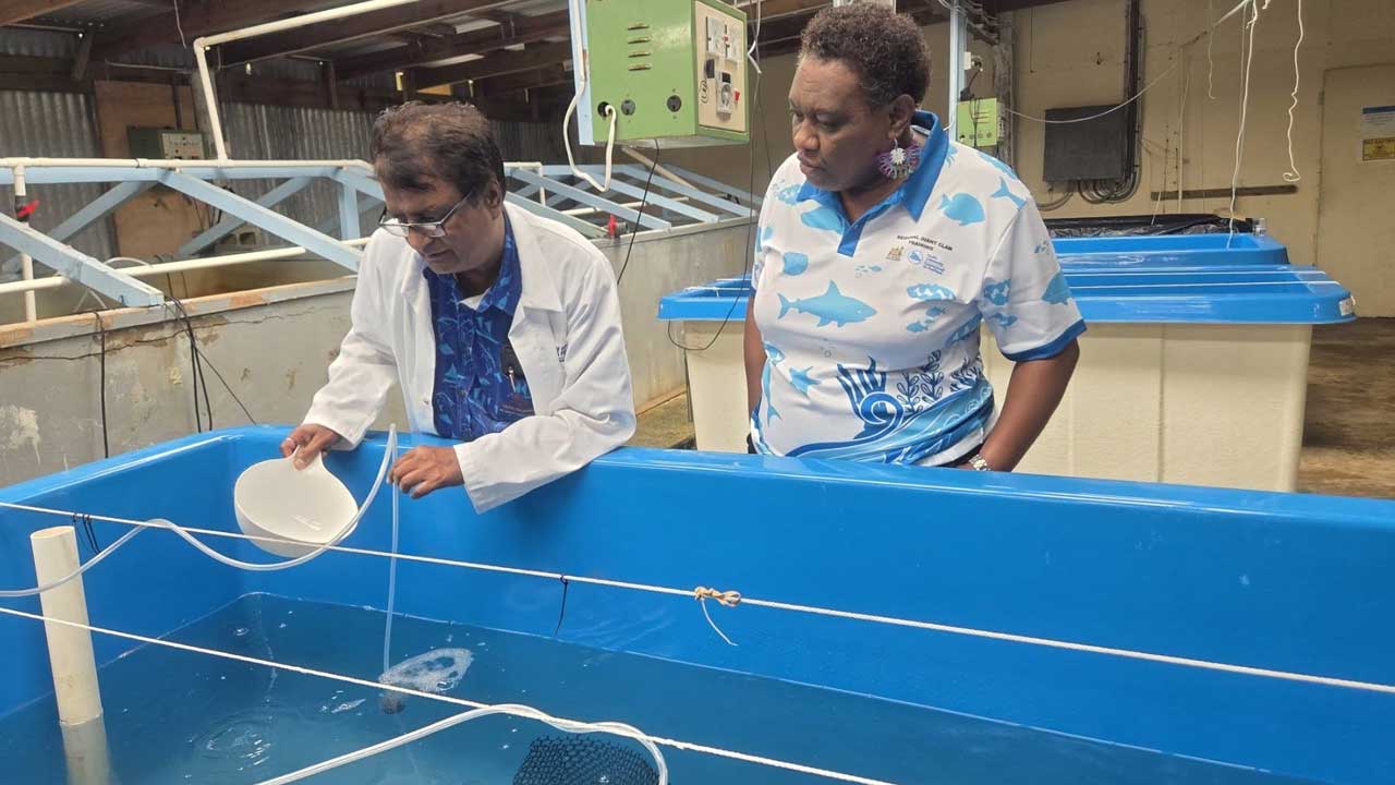 Freshwater Prawn Breakthrough Boosts Fiji Economy – FBC News